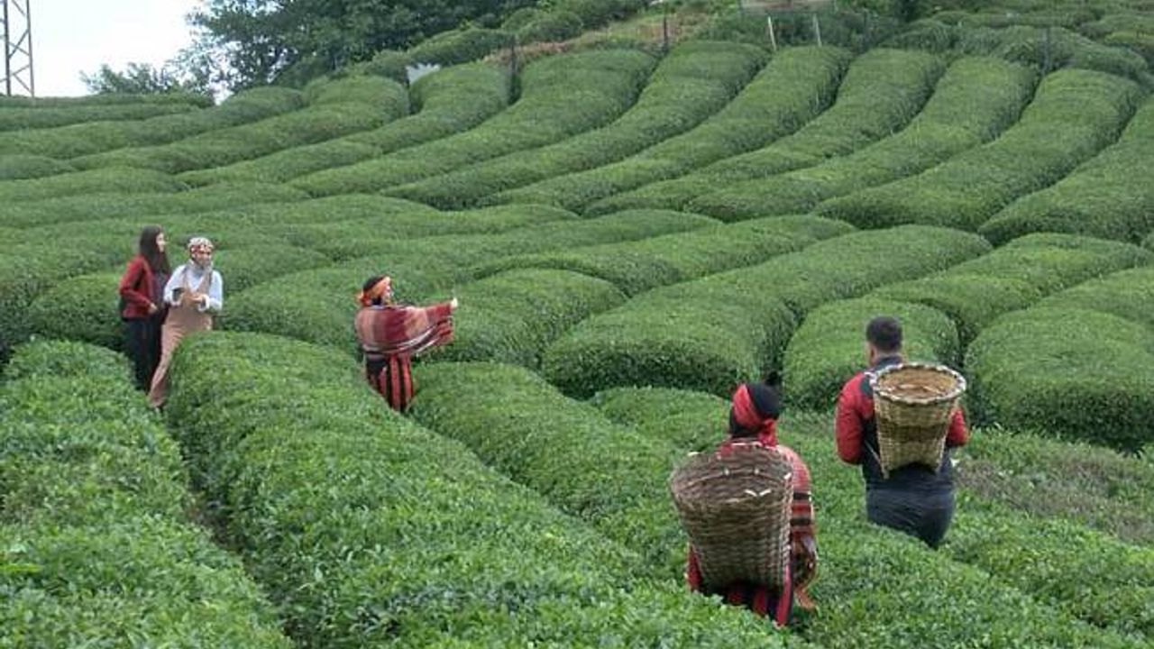 Rize’de 'çay turizmi' bereketi - Önce Vatan Gazetesi