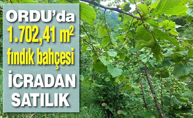 İcradan satılık fındık bahçesi - Önce Vatan Gazetesi